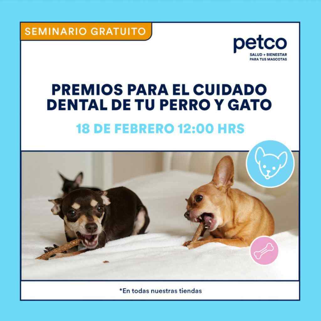 Seminarios Petco gratuitos de fin de semana: Cuidado dental de tu ...